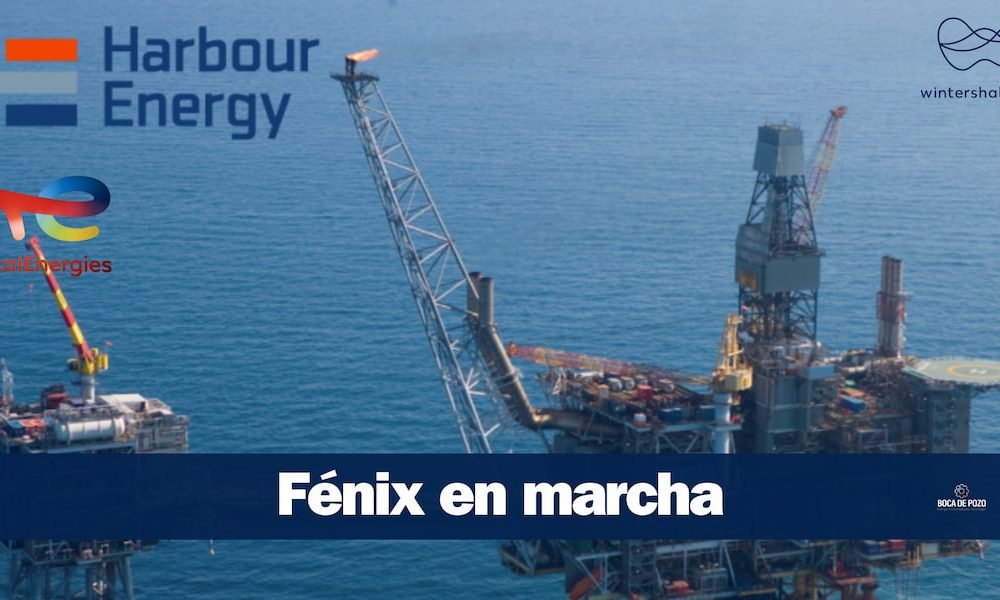Tierra del Fuego: Con base en Punta Quilla Santa Cruz, Se puso en ...